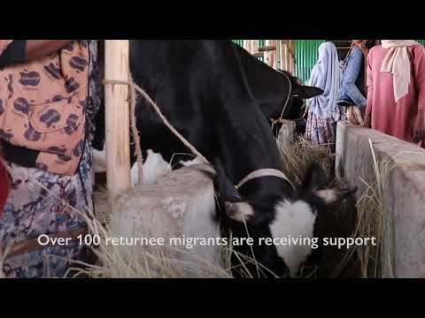 IOM and Sweden Partnership