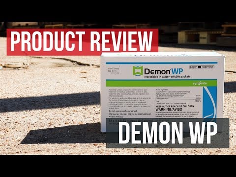 Demon WP: Product Review