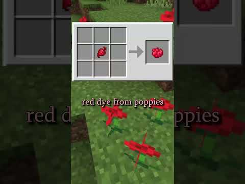 How To Dye Sheep in Minecraft #Shorts
