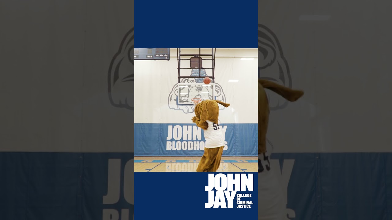🐶 Nothing but net for the Bloodhound!