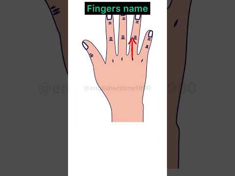 Fingers name in English and Hindi/उंगलियों के नाम