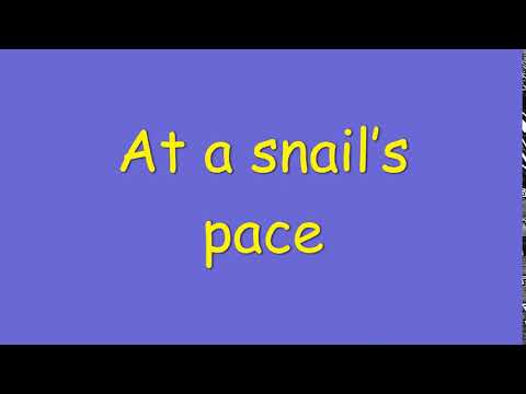 At a snail’s pace meaning