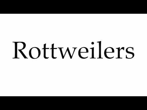 How to Pronounce Rottweilers