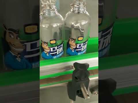 Automatic Glass bottle labeling machine Inline wine round bottle single side label applicator