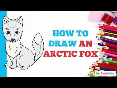 How to Draw an Arctic Fox in a Few Easy Steps: Drawing Tutorial for Beginner Artists
