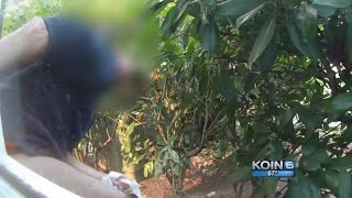 A Man Known As The "Portland Pooper" Has Been Relieving Himself On ...