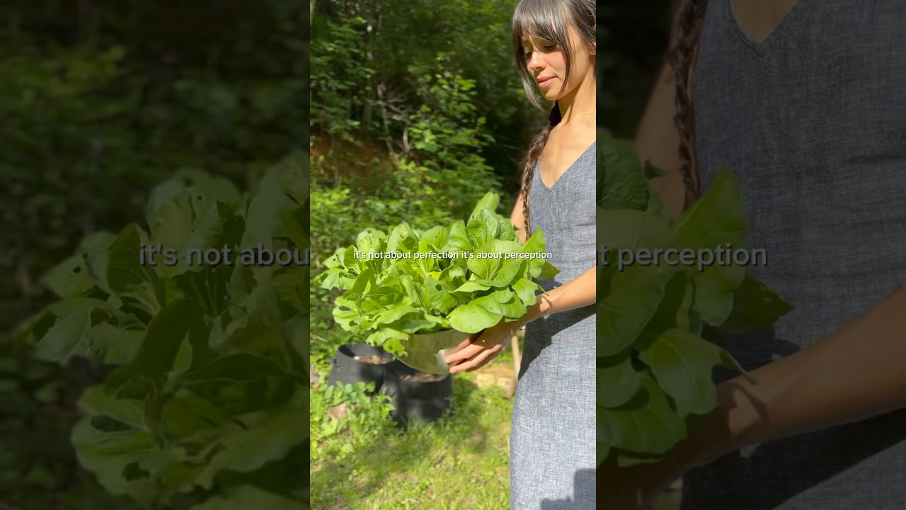 perception over perfection #simple #harvest 🥬