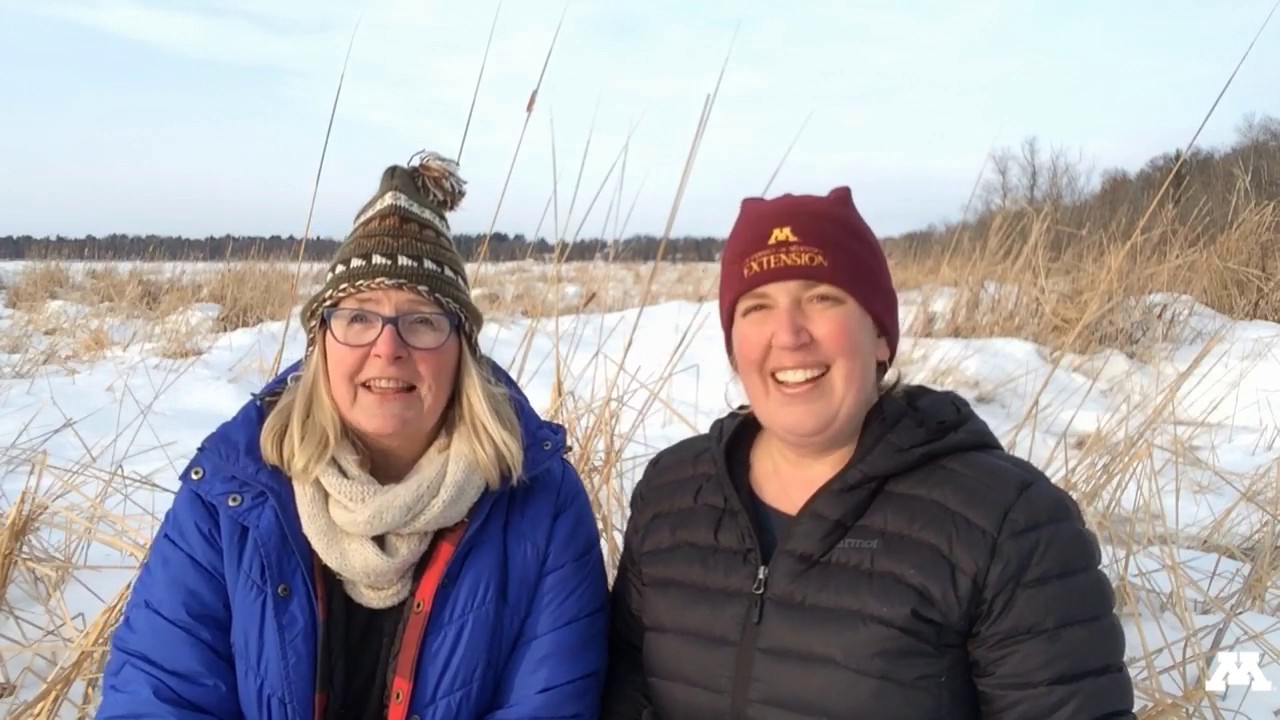 Positive emotions and longevity | Positive Psychology | UMN Extension