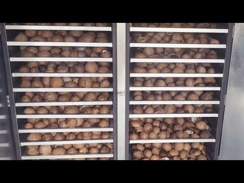 Copra Dryer - Copra Drying System Latest Price, Manufacturers & Suppliers