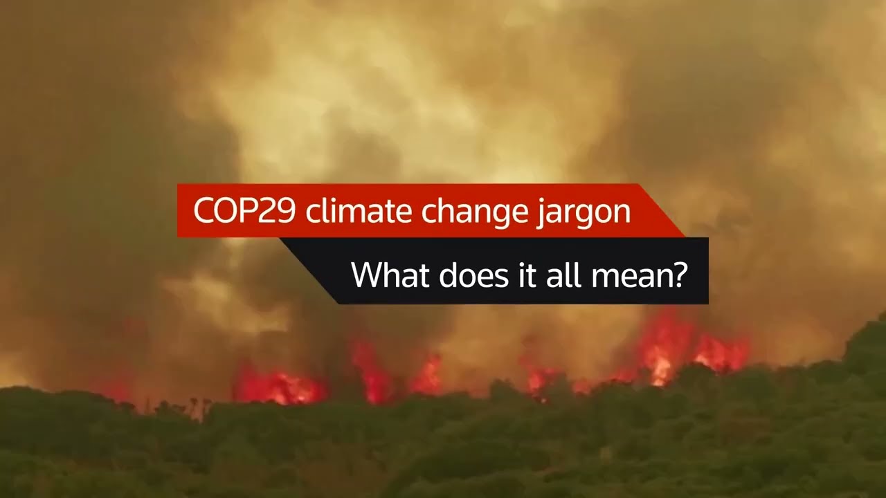 COP29: Breaking down climate change jargon | REUTERS