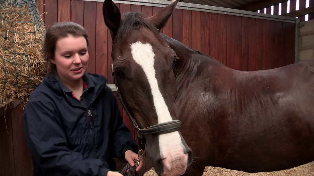 Meet Charlotte Gunn: Equine Student