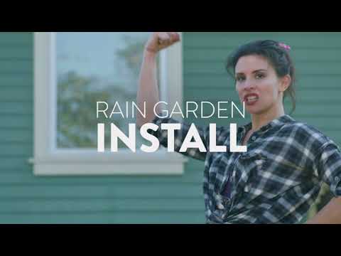 3. Turf Removal, Rain Garden, Sheet Mulch