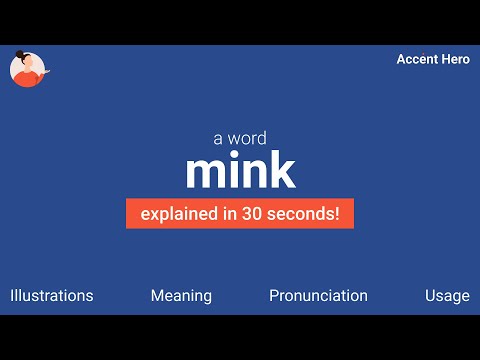 MINK - Meaning and Pronunciation
