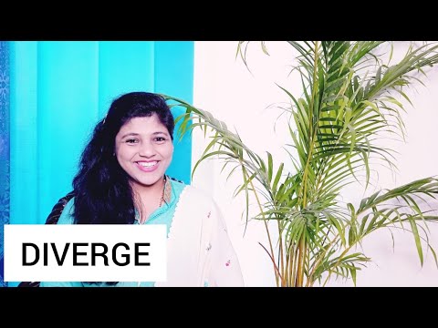 Vocabulary Building: Word of the Day: DIVERGE
