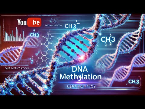 🧬 DNA Methylation – The Key to Gene Regulation! 🔬
