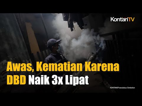 Awas 2024, Kematian Karena DBD Melonjak 3x Lipat | KONTAN News