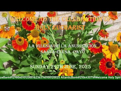 Holy Eucharist, Proper 8, Sunday 29th June 2025