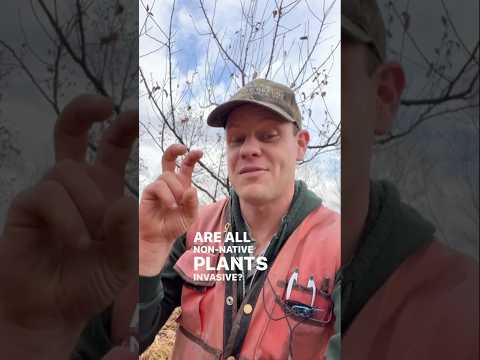 Are all nonnative plants “invasive?” #plant #plants #nature #ecology #ecosystem #biodiversity #short