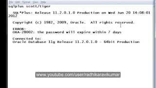 ORA-06502: PL/SQL: error numérico o de valor: buffer de cadena de ...