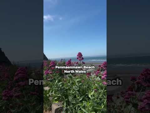 Penmaenmawr Beach North Wales 🏴