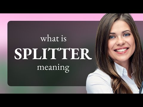 Splitter | definition of SPLITTER