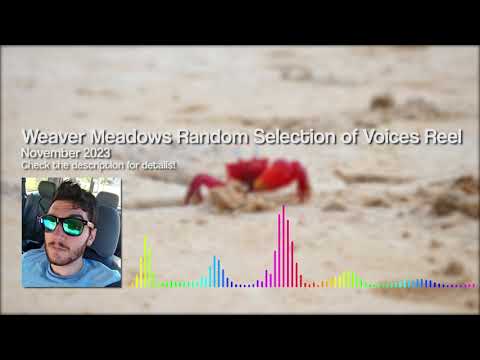 Steam Community :: Video :: Weaver Meadow's Lil Itty Bitty Random ...