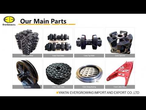 Different Tons of Sumitomo Lattice Boom Crawler Crane Track Shoes for Sale