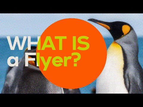 What Is a Flyer?