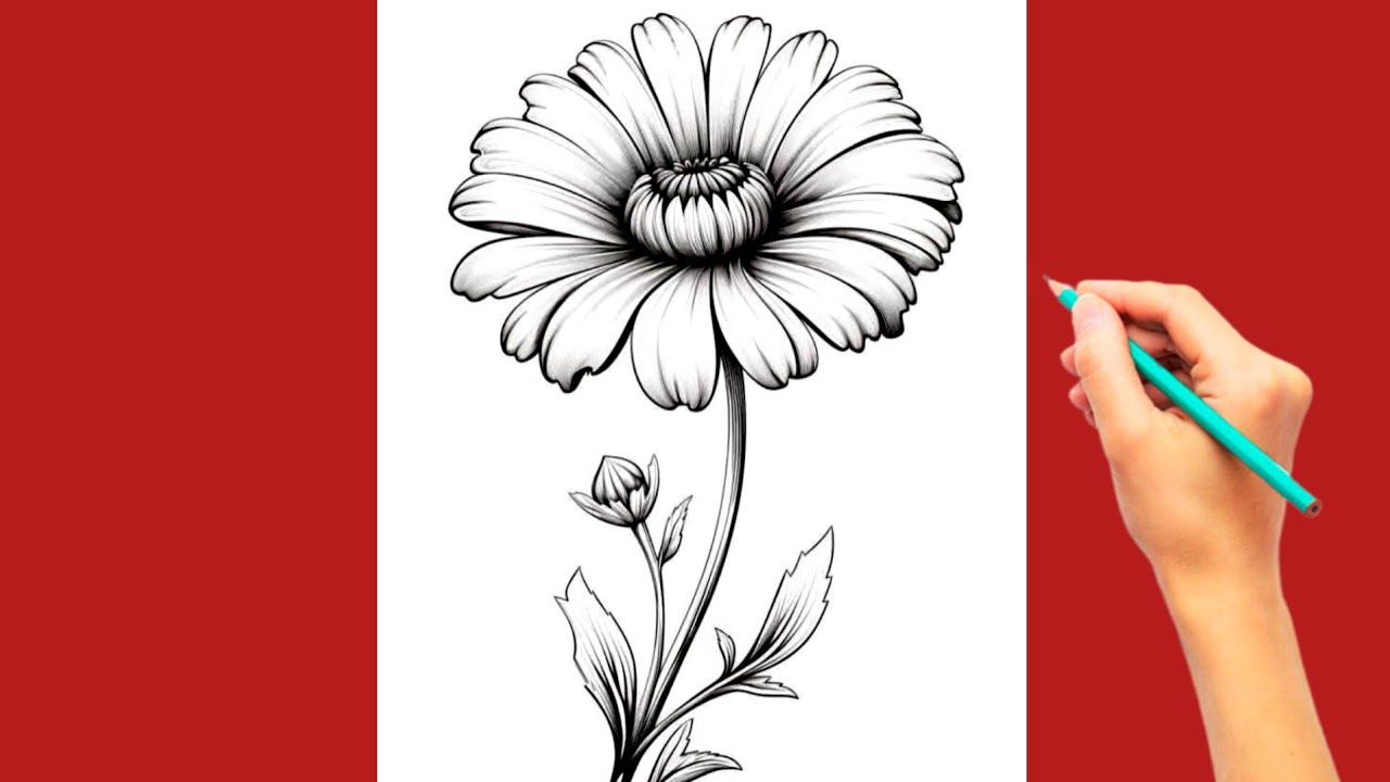 How to draw a beautiful flower with pencil , realistic shading tutorial 