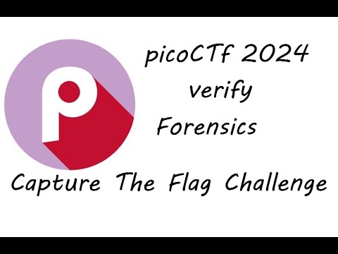 Verify | Forensics | picoCTF 2024