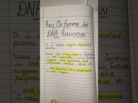 Role of Enzymes in DNA replication #shorts #short #viral #enzymes #dnareplication #subscribe #trend