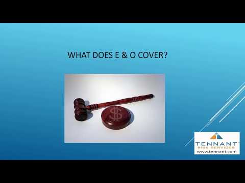 Errors and Omissions Liability