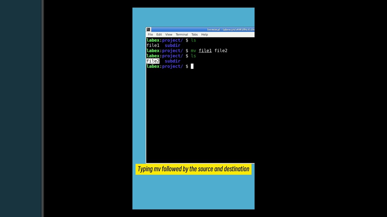 Practice Linux Commands 02 - mv #commandline #linux #linuxcommands #shorts