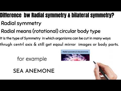 Difference bw Radial symmetry & Bilateral symmetry(In easy way ) #radialsymmetry #bilateralsymmetry