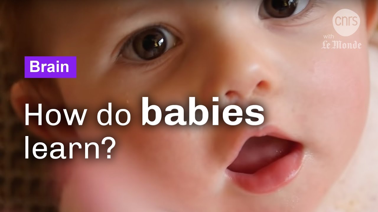 Documentaire | Dans la tête des bébés