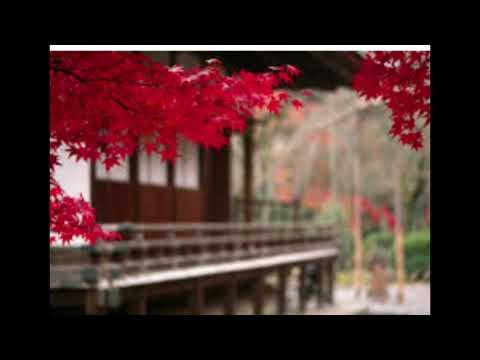 Famus koyo is the most famus views of the Autum in japan