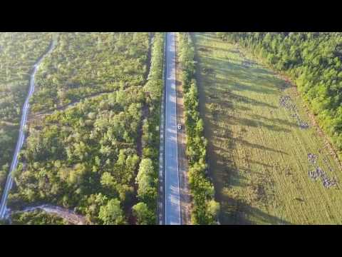 Tosohatchee Wildlife Management Hike
