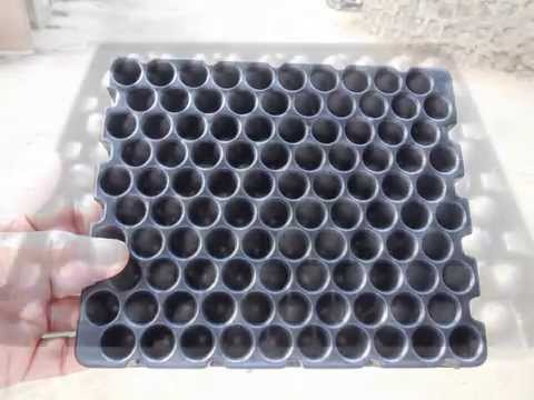 Test Tube Holder - Parakhnali Holder Latest Price, Manufacturers ...