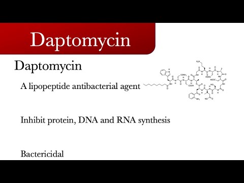 Daptomycin: lipopeptide antibacterial drug