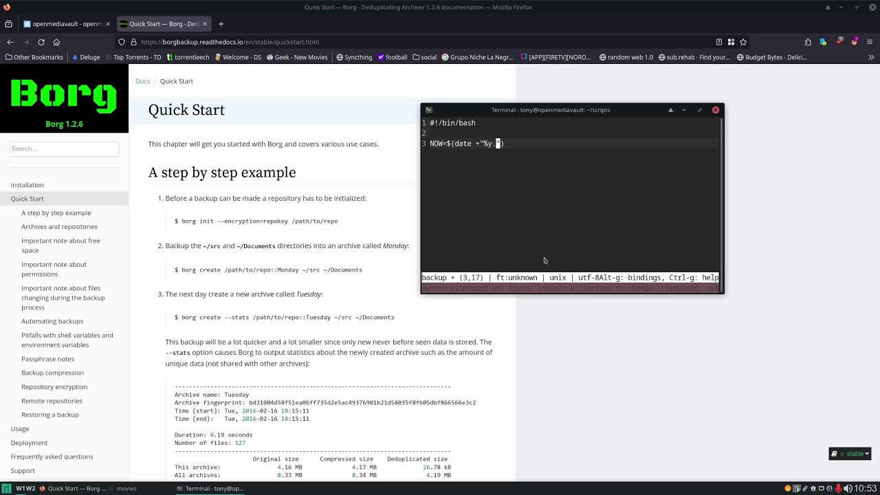 Borg in the Terminal and OMV GUI - Setting Up Our Backup Solution