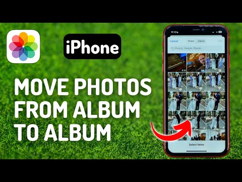 How to Move Photos From Album to Album on iPhone - Full Guide