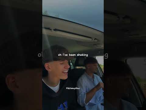 there's nothing holding me back - Shawn Mendes | lyrics | asthetic | #shawnmendes #cover