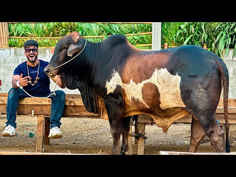 ALHAMDULILLAH 1 LAKH KA JANWAR PASAND AGAYA❤️| SODA HOGAYA? | BAKEA EID | COW MANDI VLOG