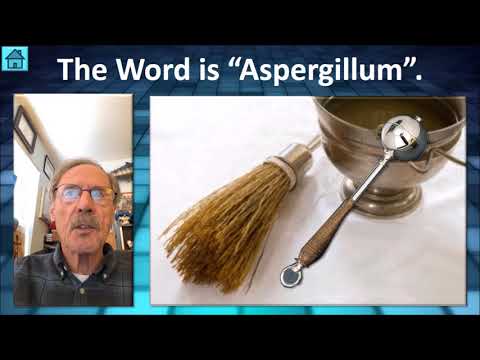 Guess the Definition Game Aspergillum 1 Stan