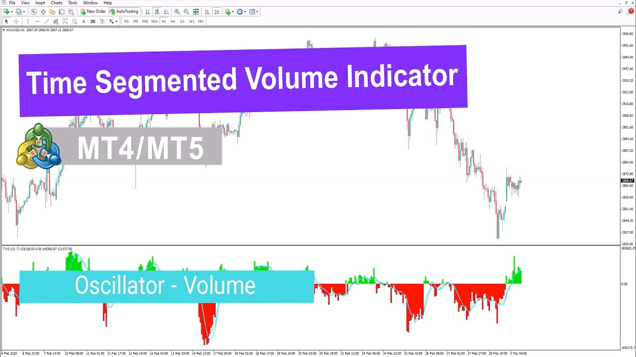 Understanding the Time Segmented Volume Indicator for MetaTrader 4/5 | Galaxy.ai