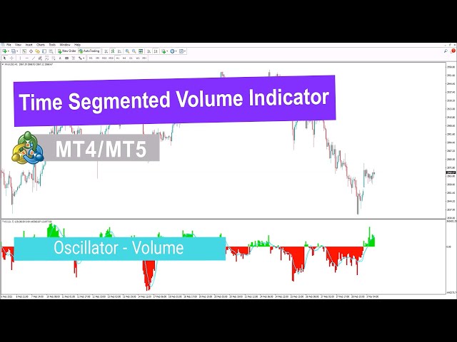 Understanding the Time Segmented Volume Indicator for MetaTrader 4/5 | Galaxy.ai | Galaxy.ai
