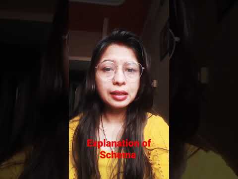 explanation of Schema
