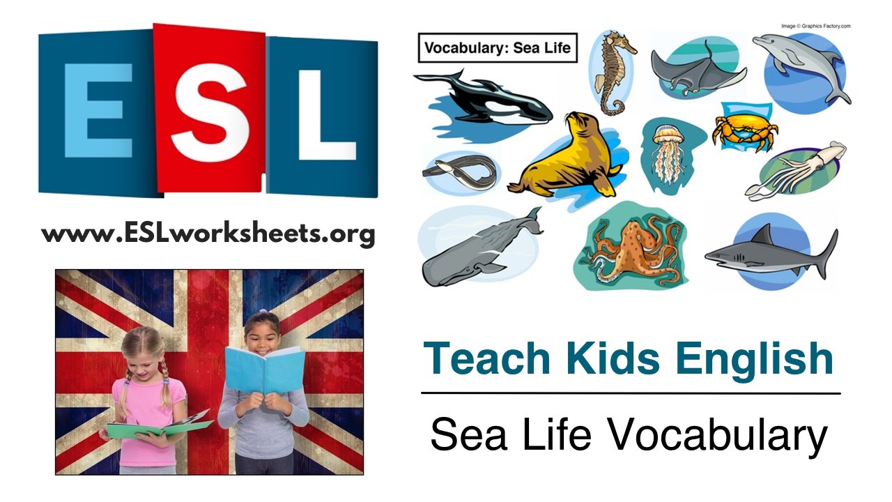 ESL Vocabulary Worksheets (Sea Life Vocabulary)