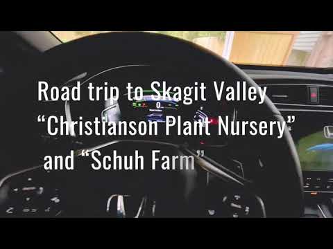 Road trip to Skagit Valley