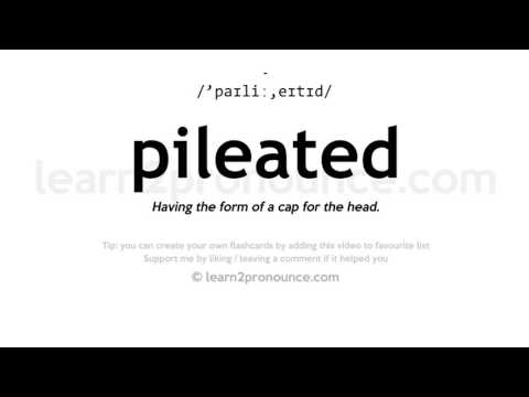 Pronunciation of Pileated | Definition of Pileated